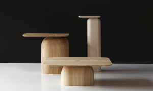 Ten years ago: 12 Designs for Nature - Nikari